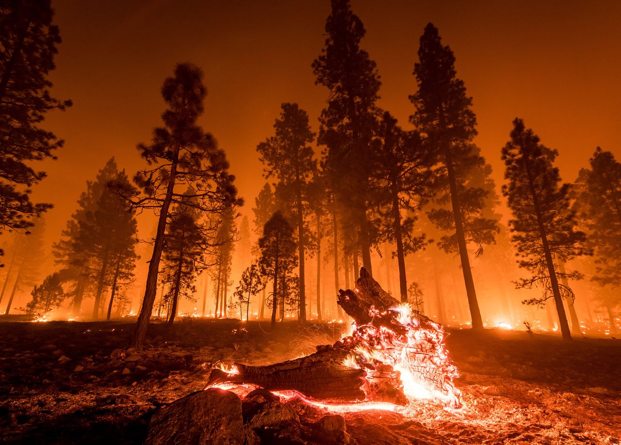 Extreme fire danger in Southern California: critical conditions persist ...
