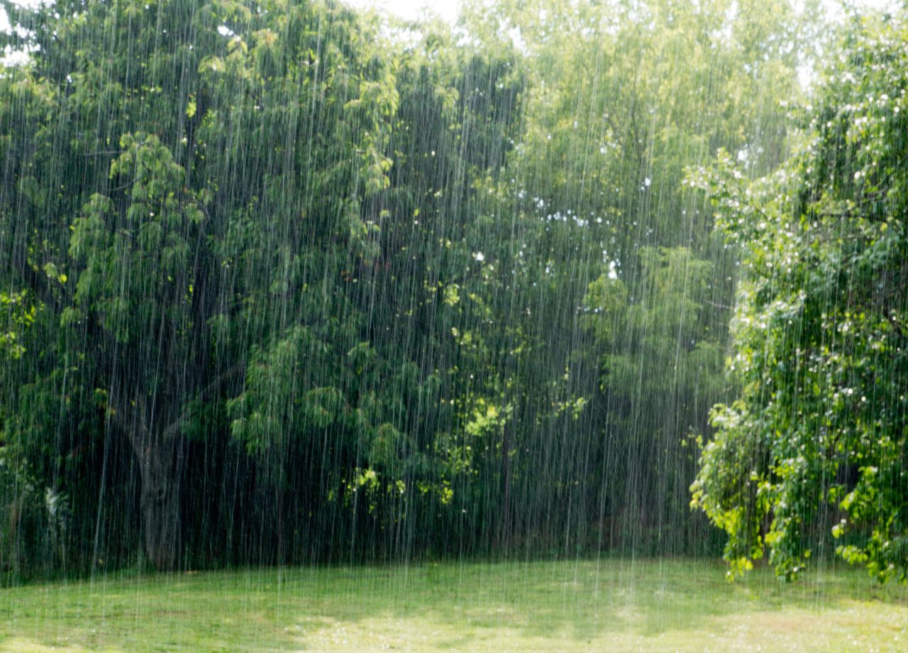 Fin juillet et début août plus maussades en France : la fin de l'été en ...