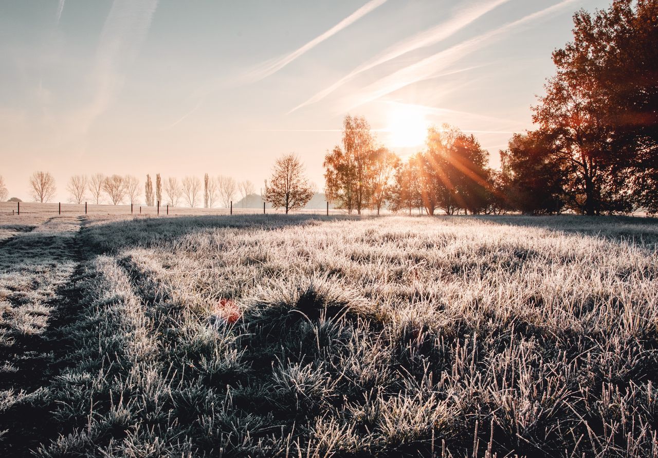 First Major Snow Blankets U.S. as Arctic Cold Grips Millions: Find Out ...