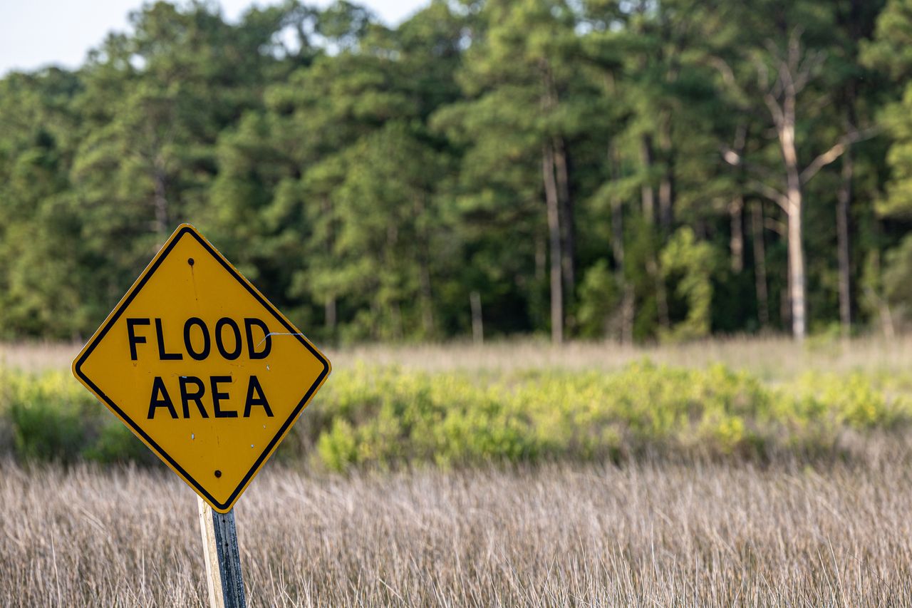 Flood Risks Drive Domestic Migration Across the U.S., and Miami Tops ...