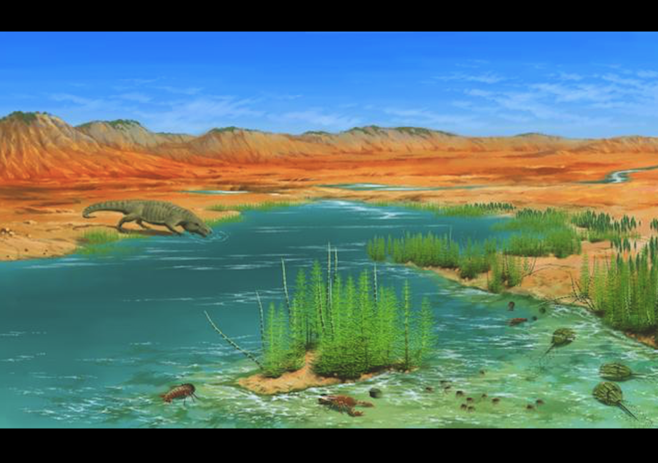 Fossils expose unique lands that rebounded quickly after Earth's worst ...