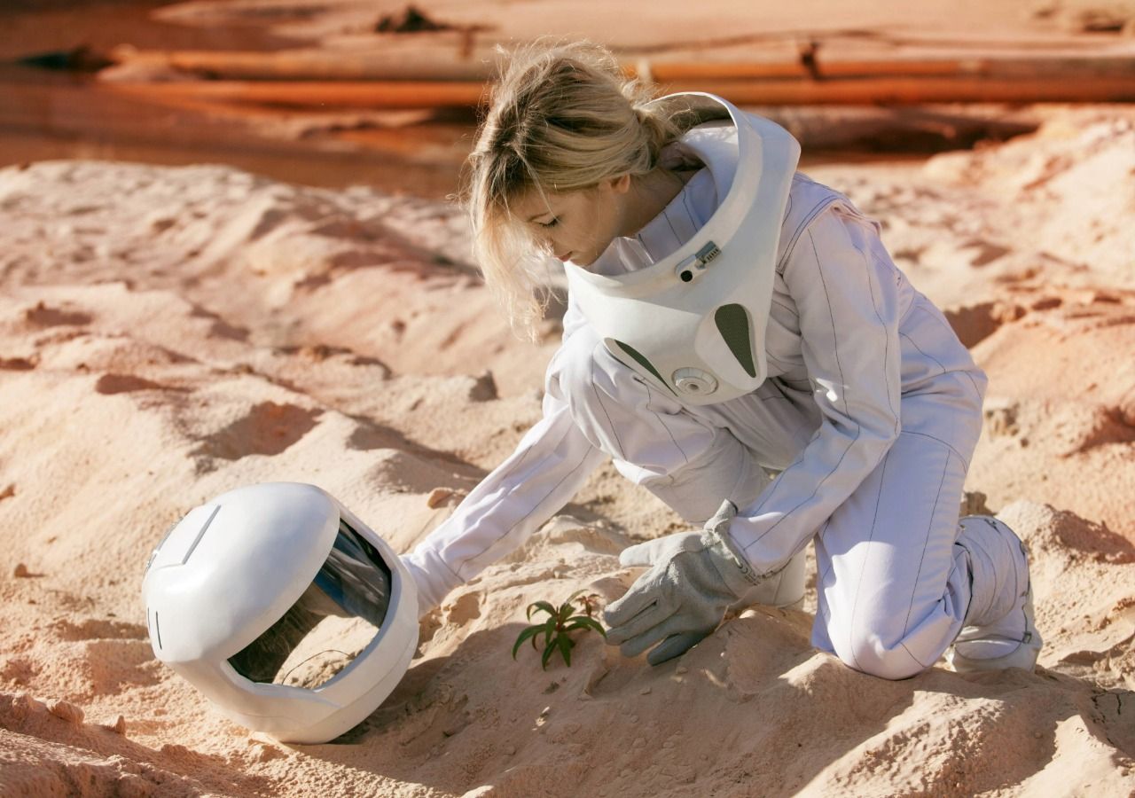 Fresh hope for space crops; how close are we to growing food on the ...