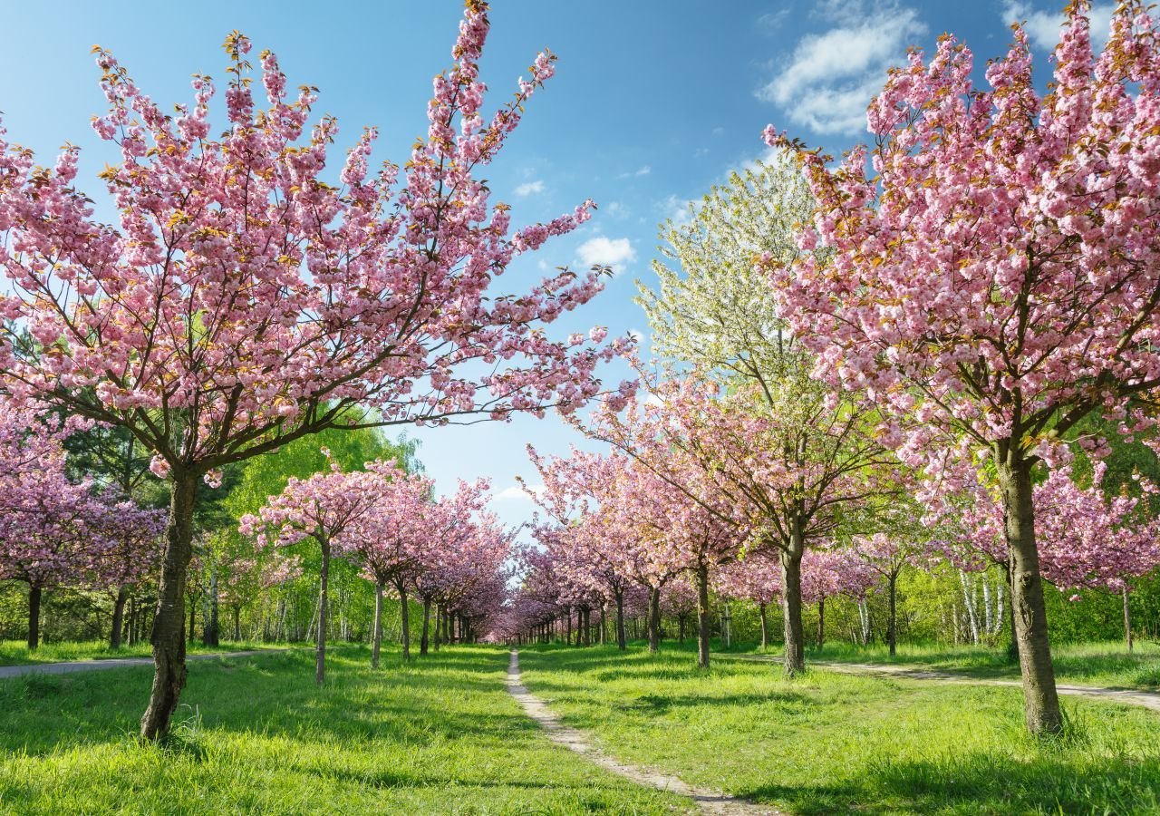 Frühling 2026: Kommt die große Wetter-Überraschung? Experte: "Diese ...