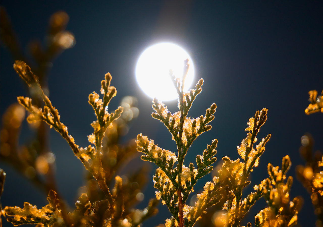 Funkelnde Winternächte: Super-Jul-mond, Planeten und Sternschnuppen im ...