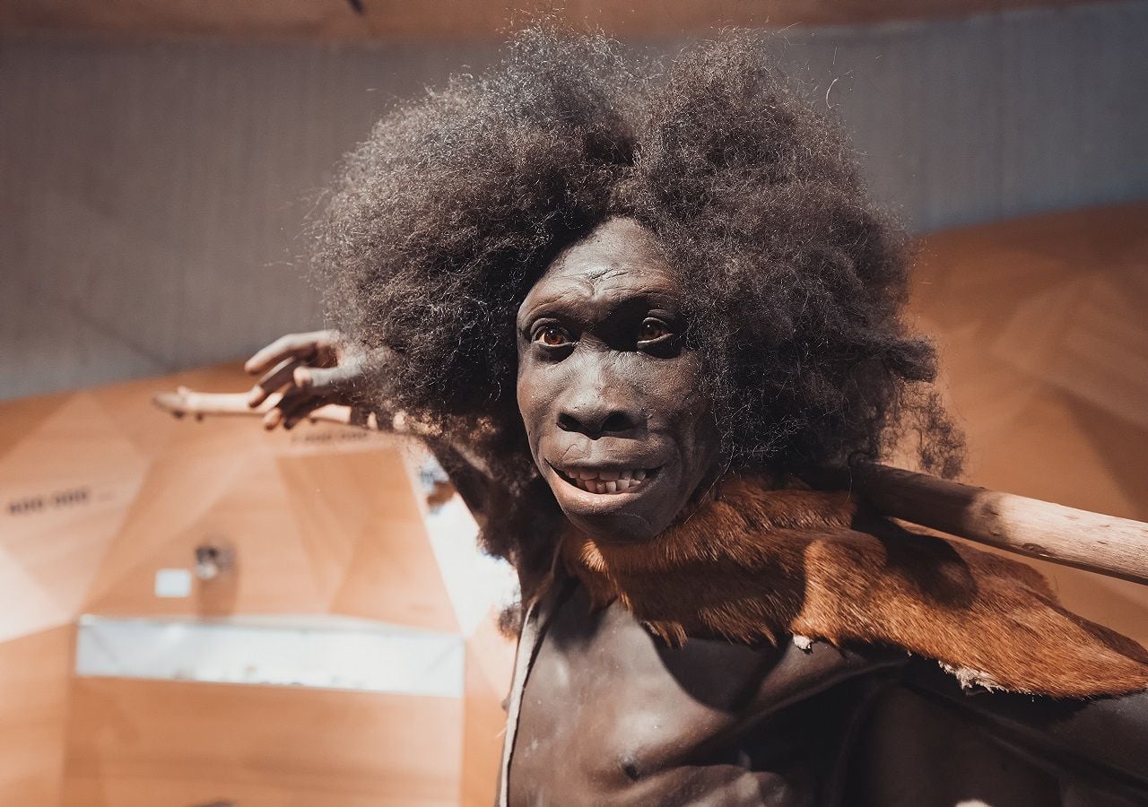 Genes fantasmas: conheça o caso dos africanos ocidentais com herança de ...