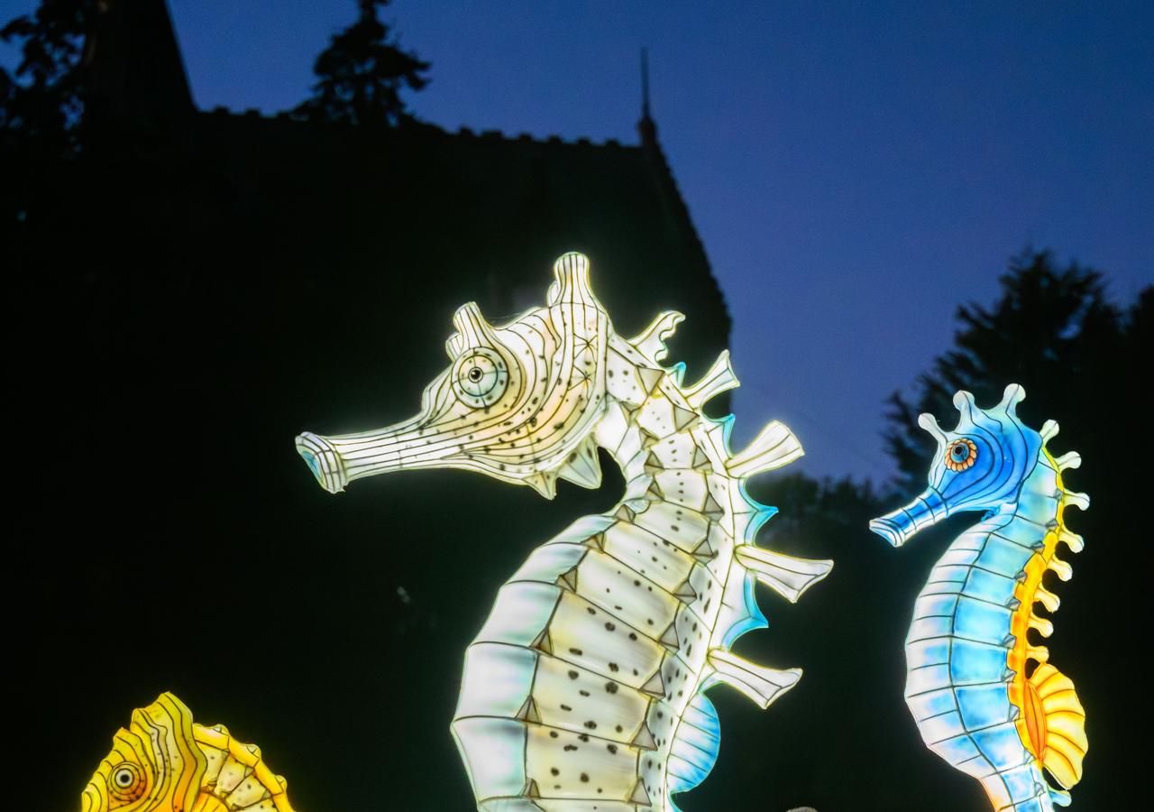 Giant Lantern Trail to plunge Edinburgh Zoo 'underwater' this November