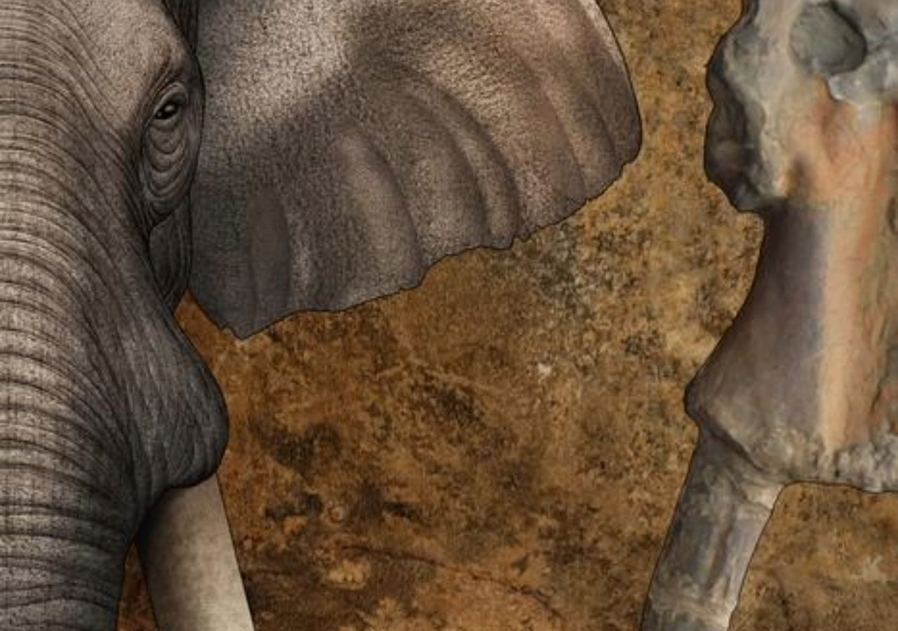 Elefante Norte Africano Extinto