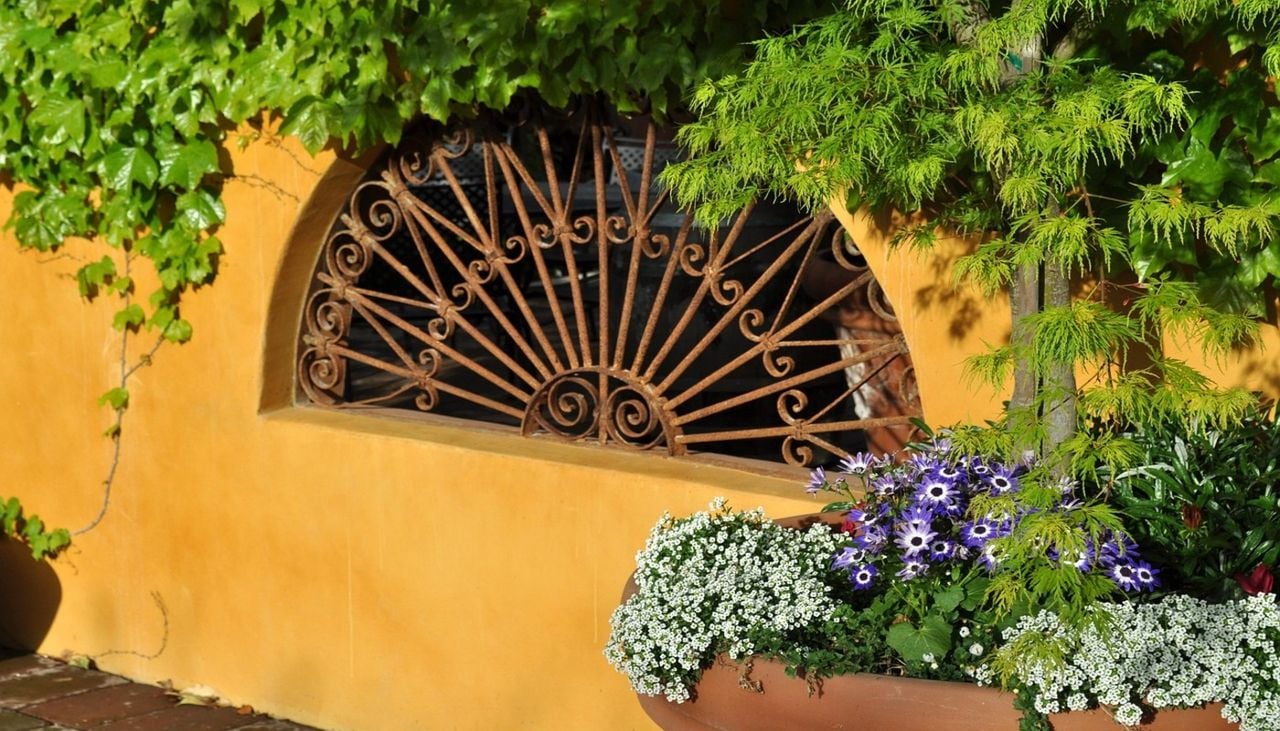 Going on holiday? The 'unkillable' patio plants that will survive ...