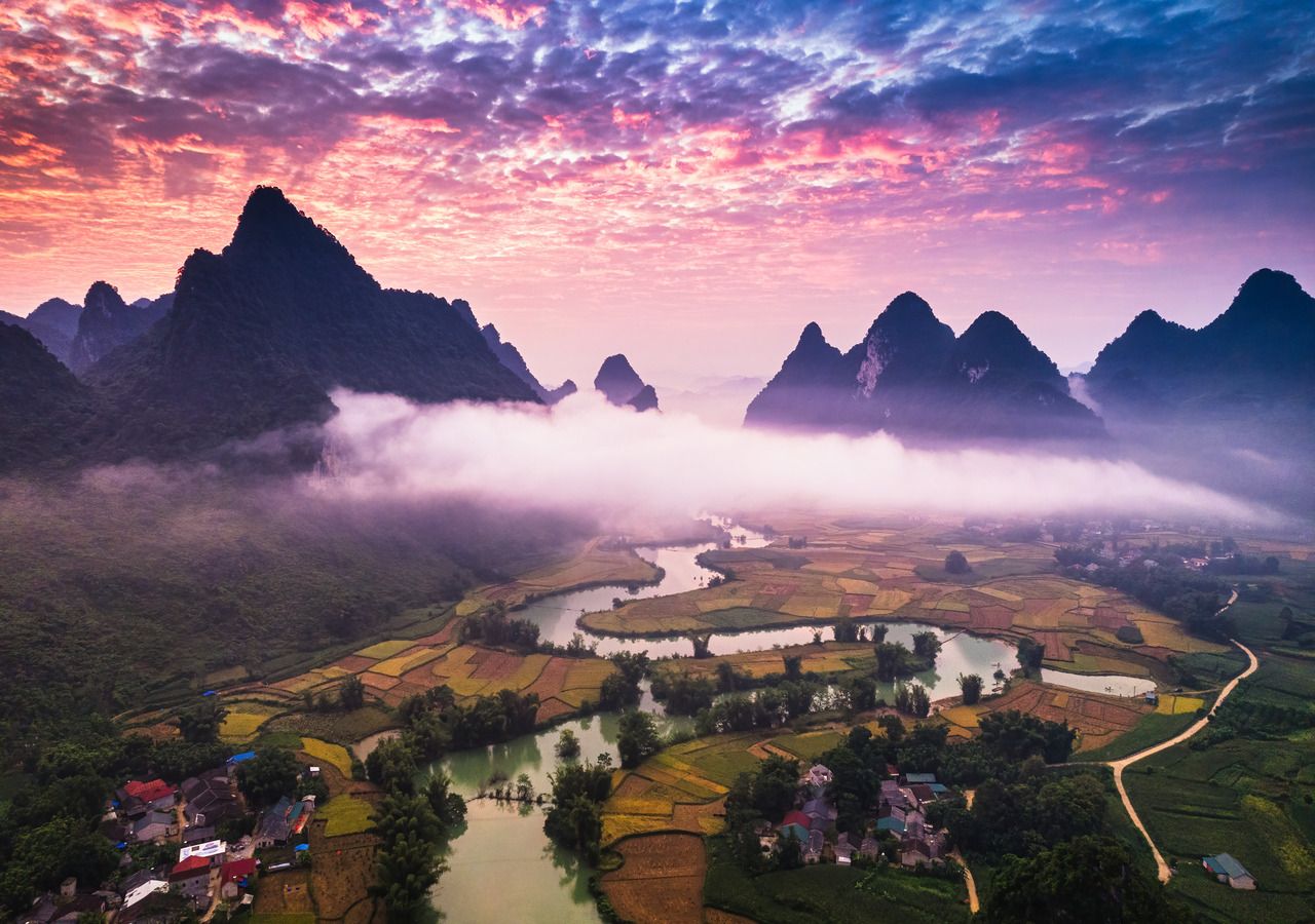 Good news for rare gibbon as baby spotted in remote forest