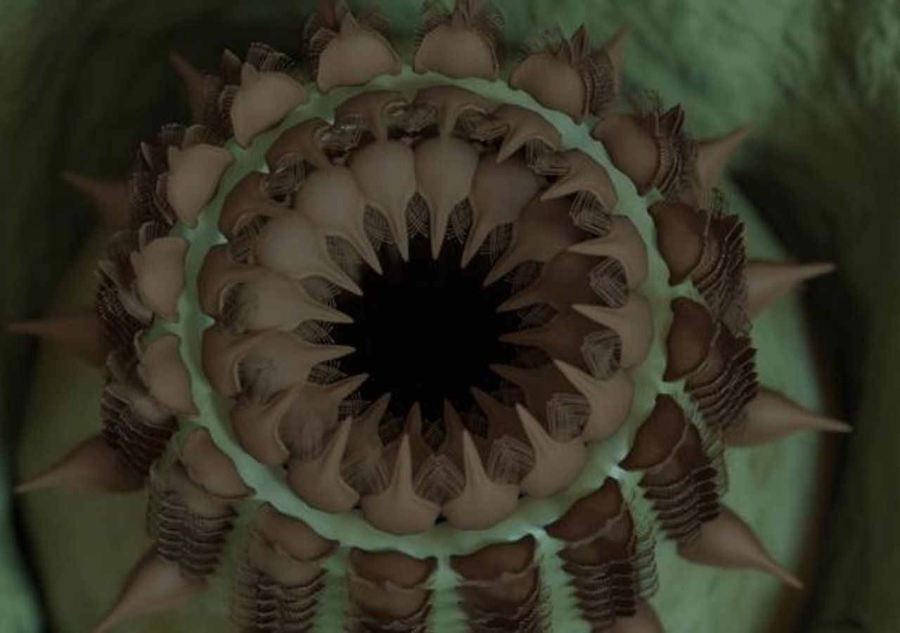 Grand Canyon yields treasure trove of fossils in ‘Goldilocks Zone’ of evolution