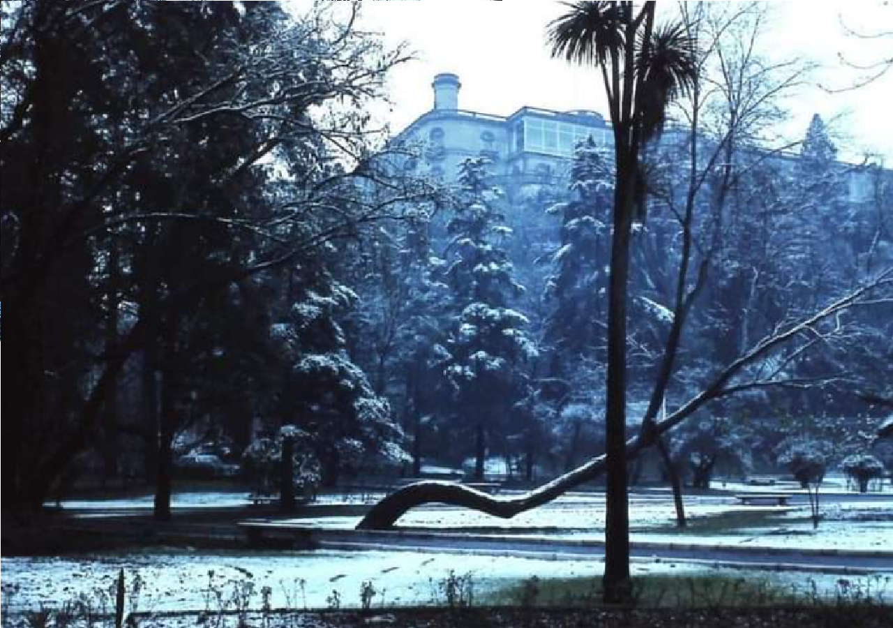 Grandes nevadas en México: enero de 1967 cuando la mitad del país se ...