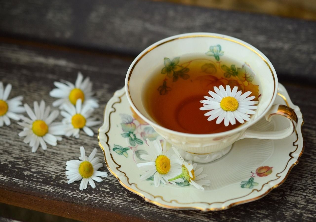 Growing a herbal tea garden: plants to grow and enjoy at your next tea ...
