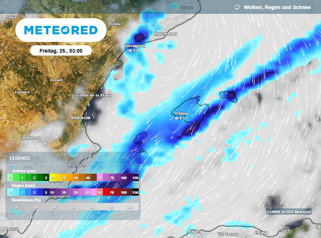 Warnung: Heftiger Tag auf Mallorca: Fisch-Angriff im Meer und Unwetter mit Starkregen – heute ...