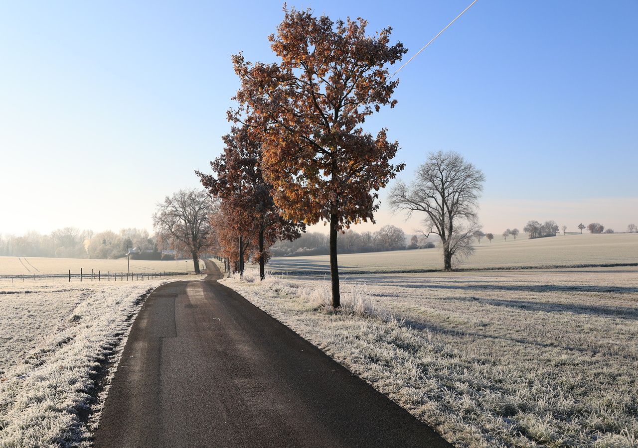 Las heladas invernales. Conoce sus tipos e impactos en la agricultura