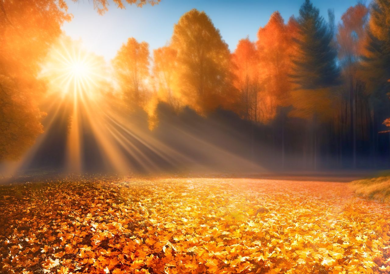 Der Herbst 2023 wird toll: Das sagen die langfristigen Wetterprognosen ...