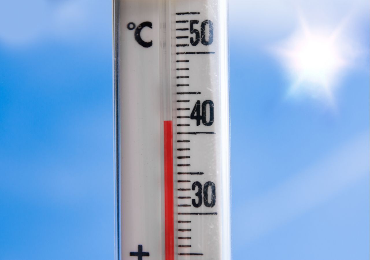 Hitzesommer in Deutschland: Am Dienstag bis zu 40°C möglich! Hitzewarnung!