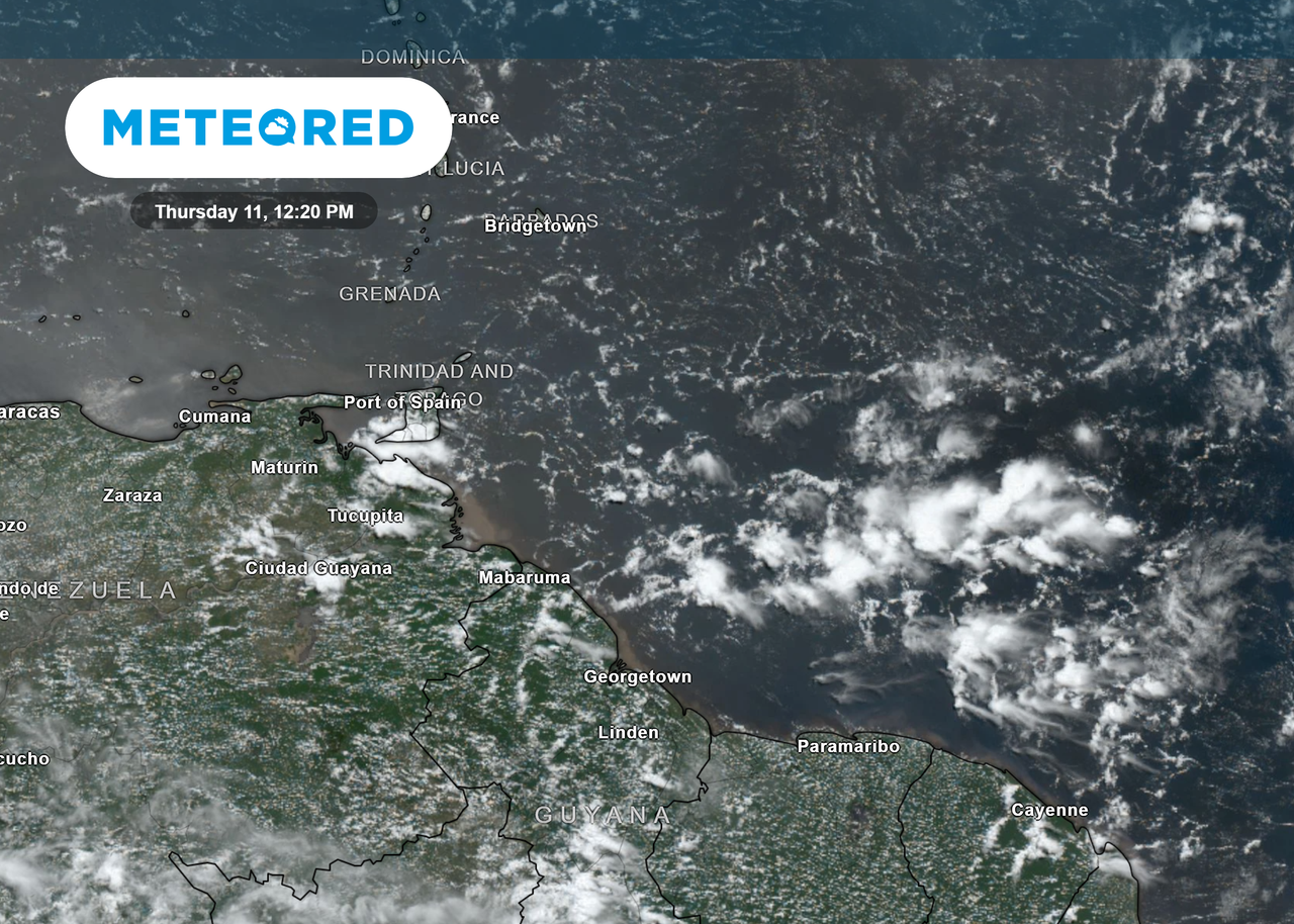 How do tropical atmospheric waves shape our weather? New meteorological ...