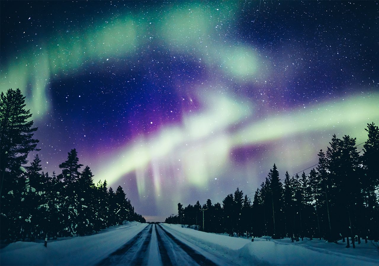 Cómo los ambientes de luz extrema en las regiones polares influyen en ...