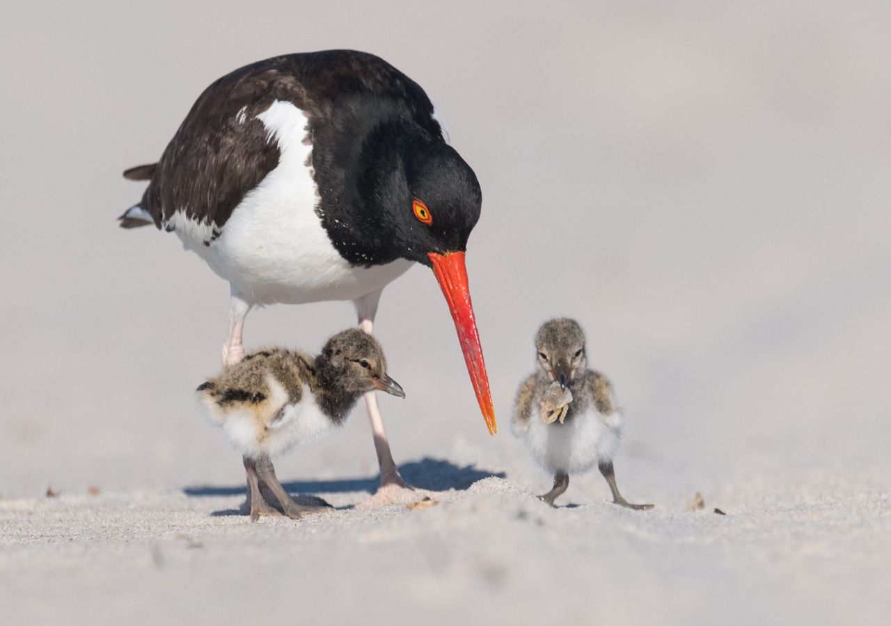 “Huge step for nature recovery” as reserve extension announced for ...