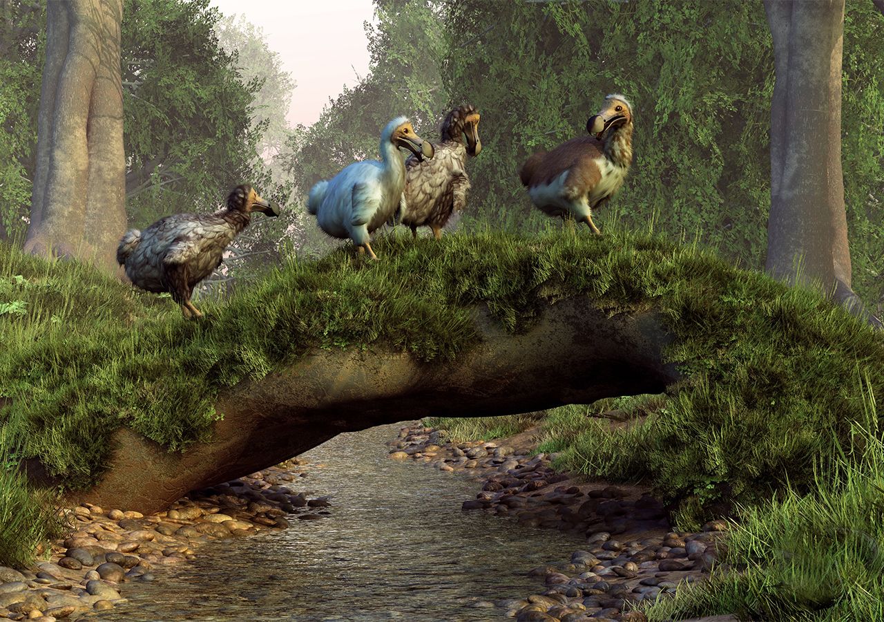 Human activity is responsible for the major loss of avian functional ...
