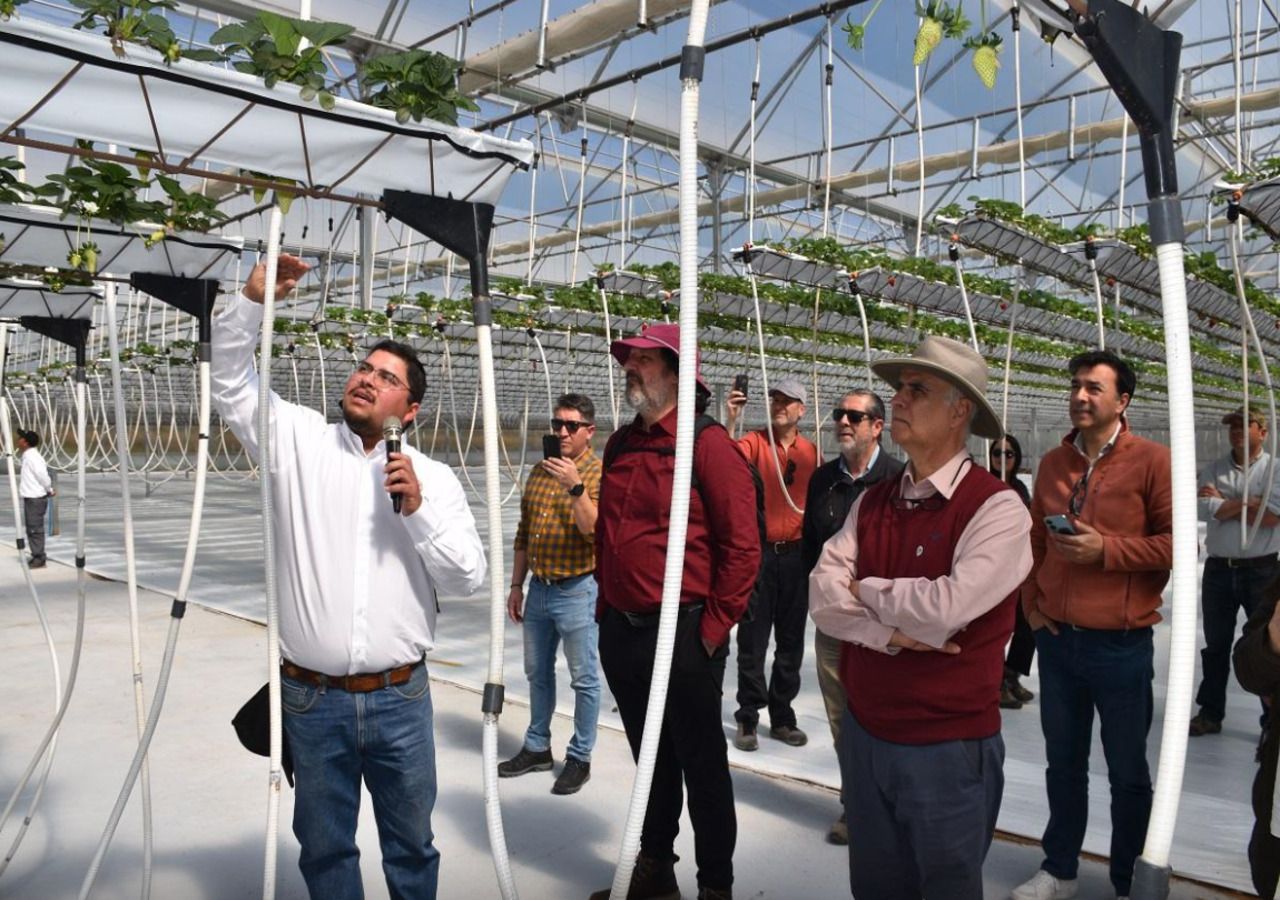 Inauguran invernadero de alta tecnología en Coquimbo: un avance para la agricultura sostenible ...
