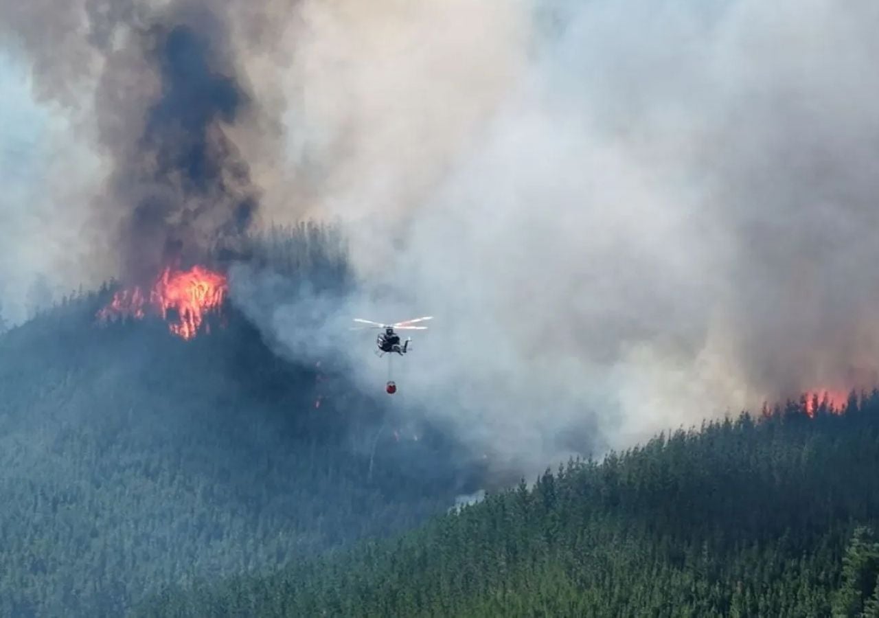 Incendios forestales en Argentina: cuando la Patagonia arde y el clima ...