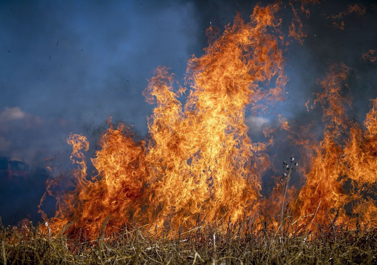 Los incendios forestales y urbanos en el sur de California: una amenaza ...