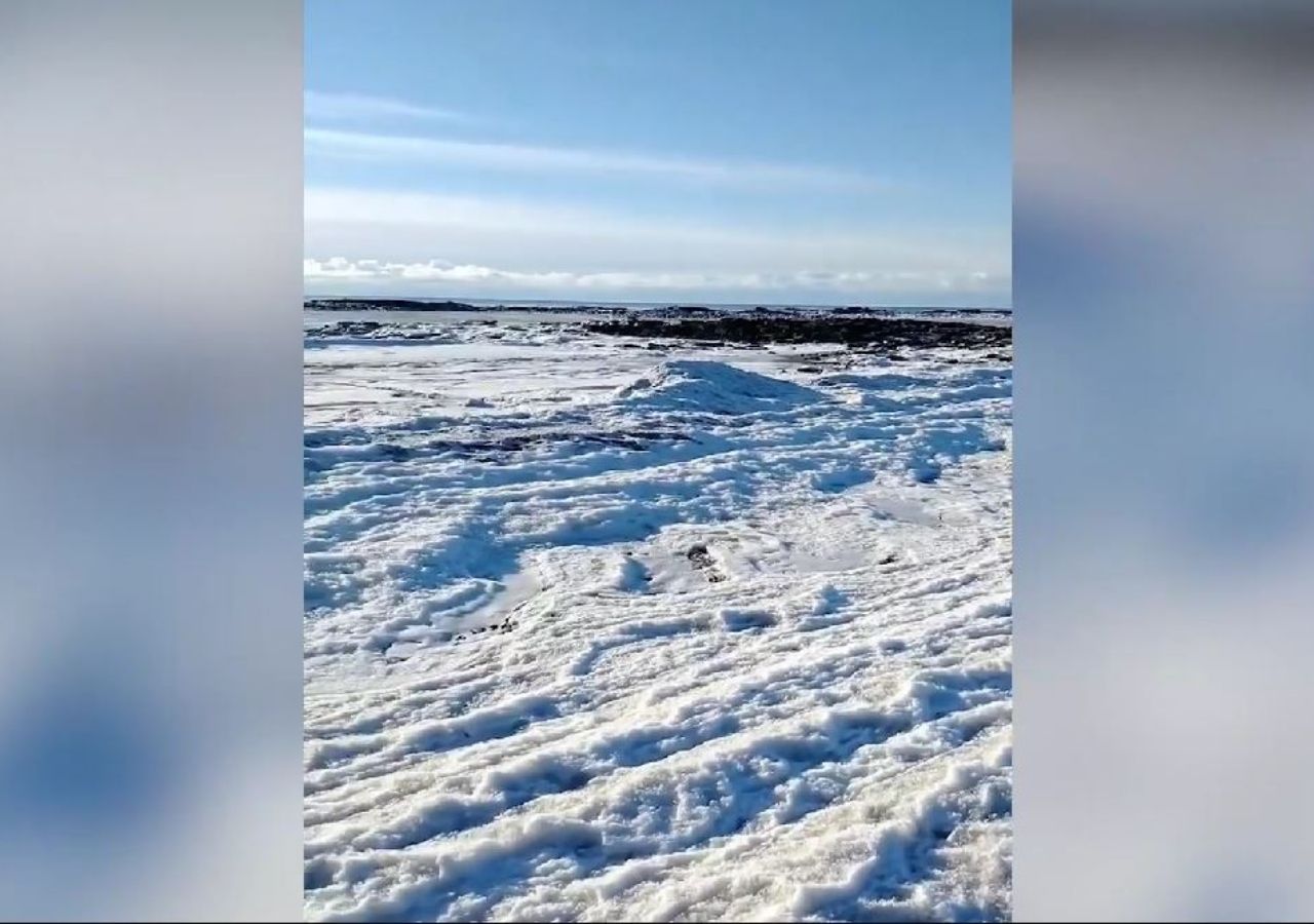 ¡Increíbles imágenes! Por el frío extremo se congeló el mar en Tierra ...