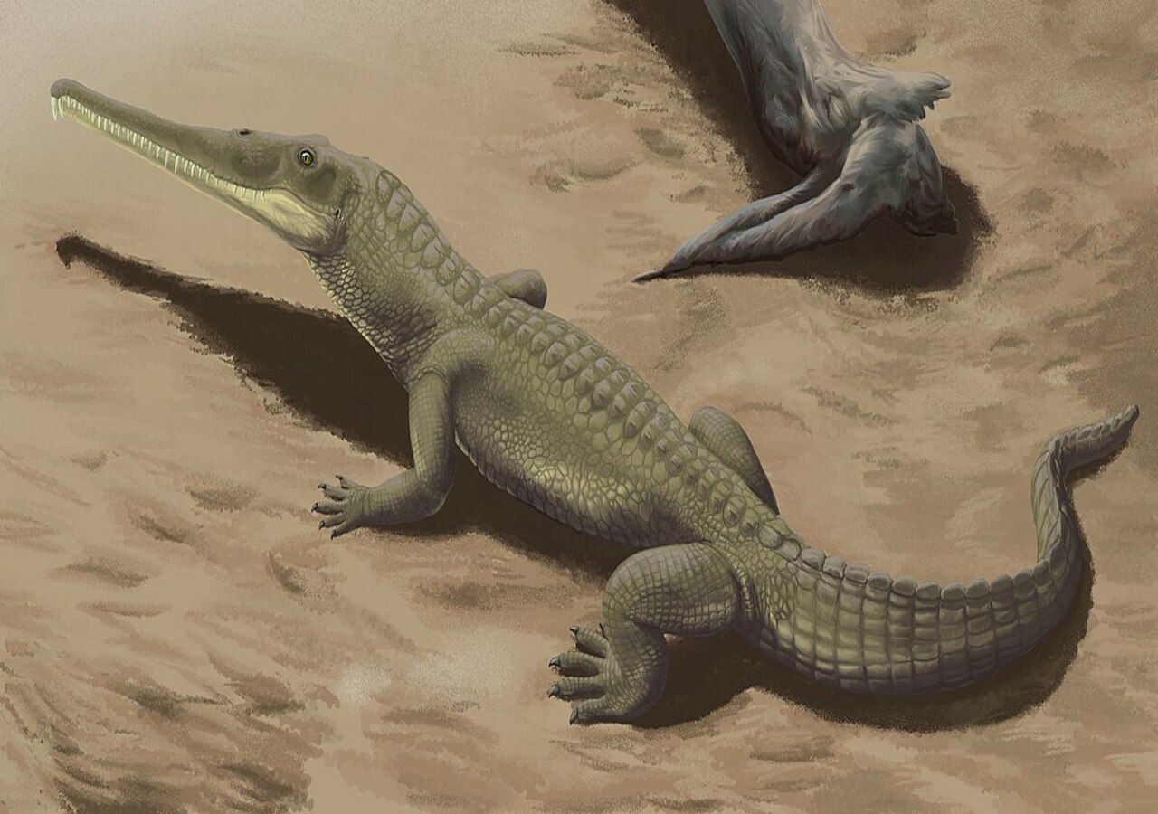 Indian researchers unearth rare fossilised remains of a crocodile-like ...