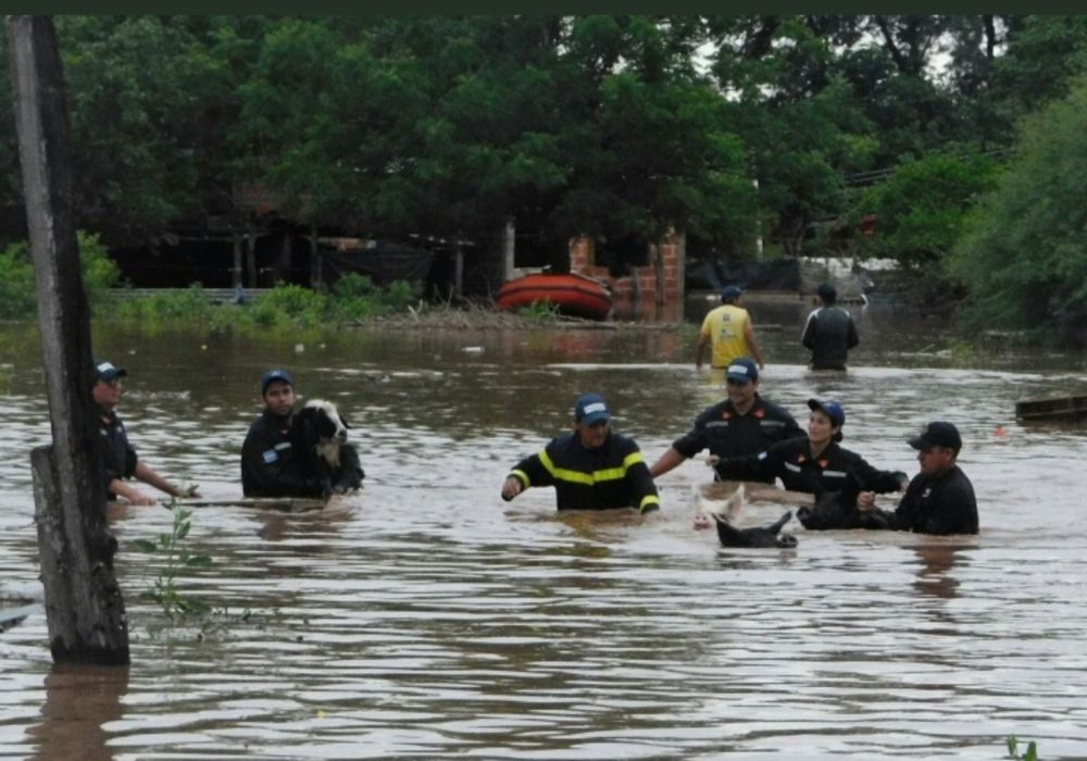Intensas Lluvias Castigan El Noroeste Argentino Inundaciones Y Evacuados