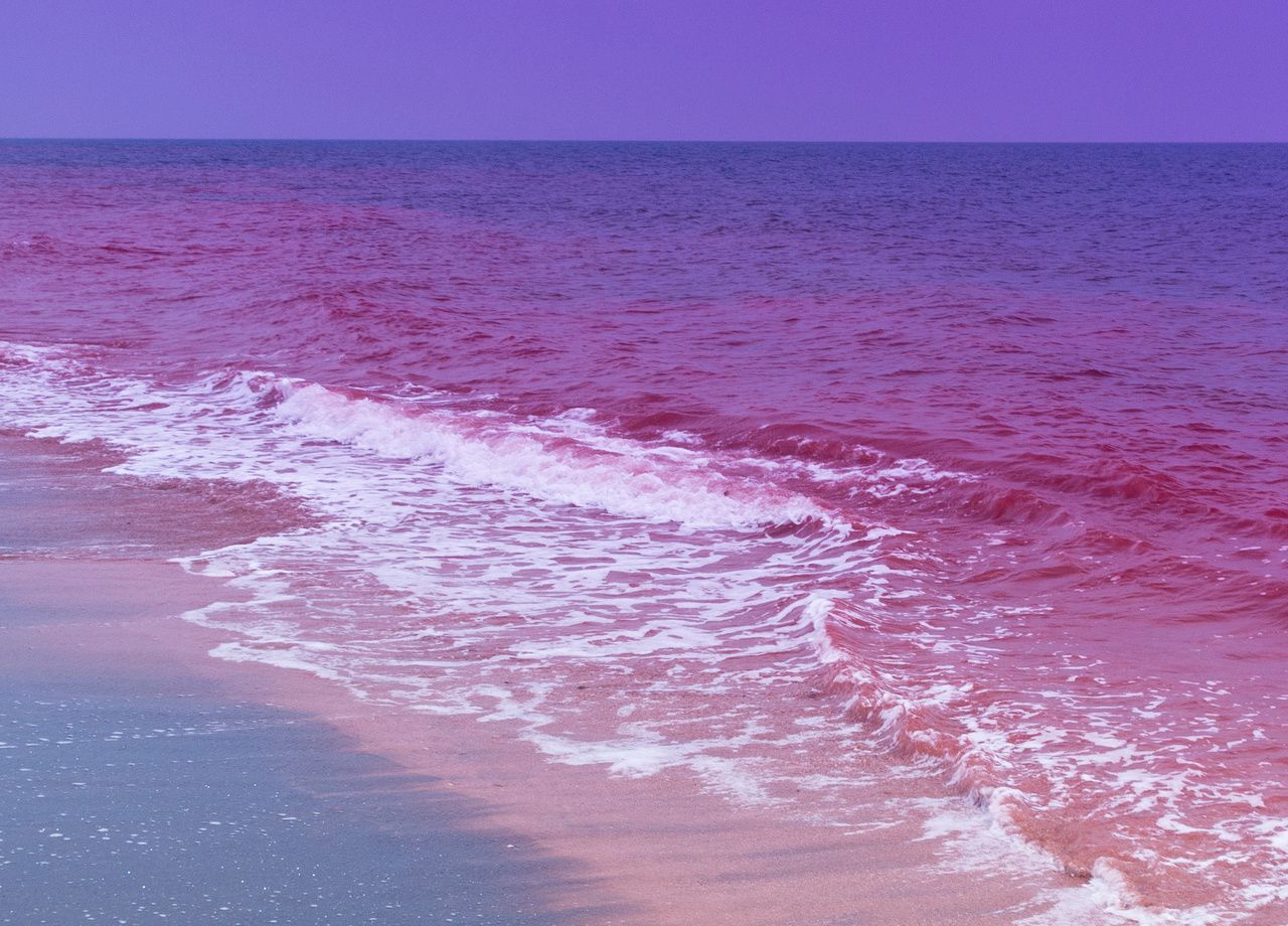 Iran : pourquoi l'eau de cette plage est-elle rouge sang