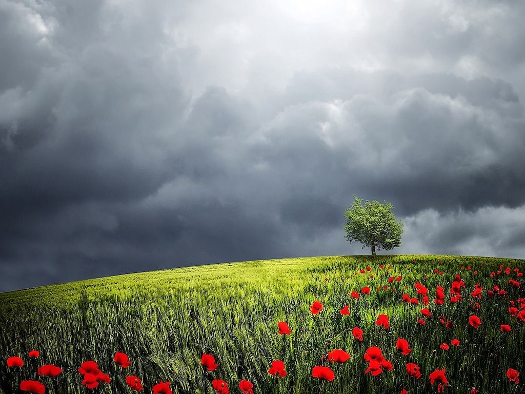 Ist der Hochsommer schon vorbei? Ist der Hochsommer schon vorbei?