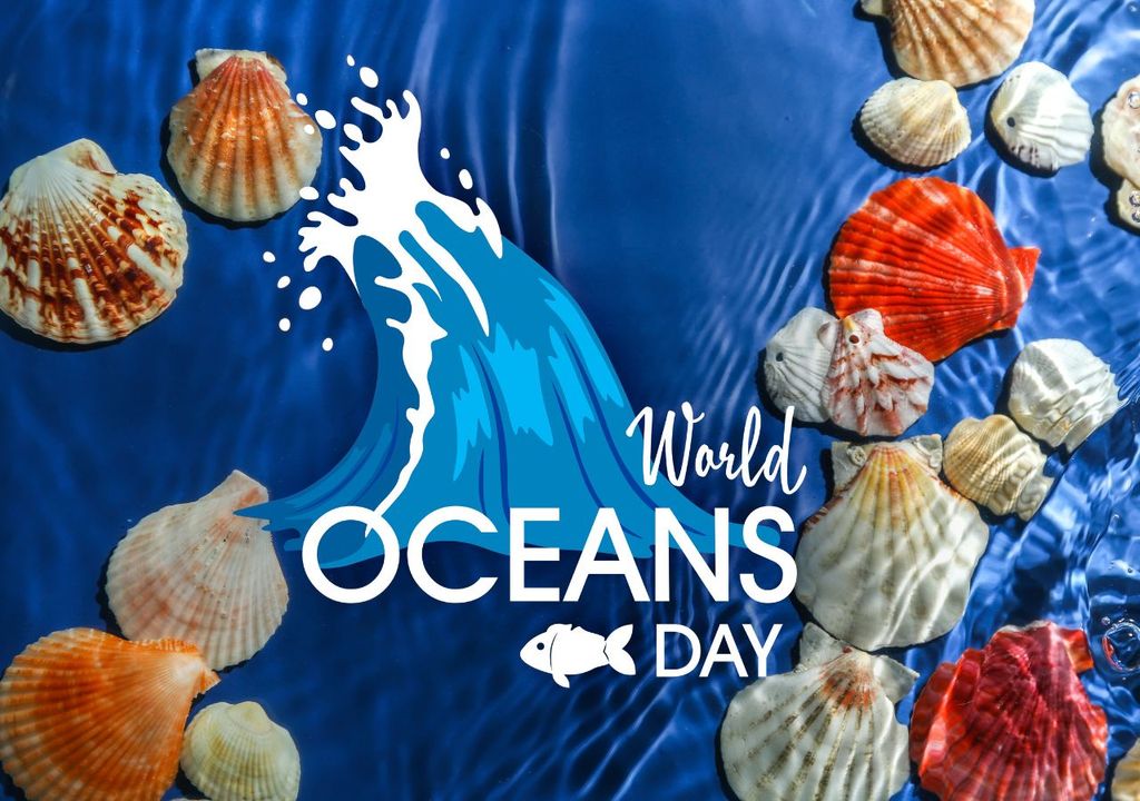 Jóvenes al rescate: el Día Mundial de los Océanos 2025 clama por la ...
