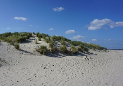 Kälteschock in Deutschland: Ein Experte erklärt, warum uns der Sommer ...