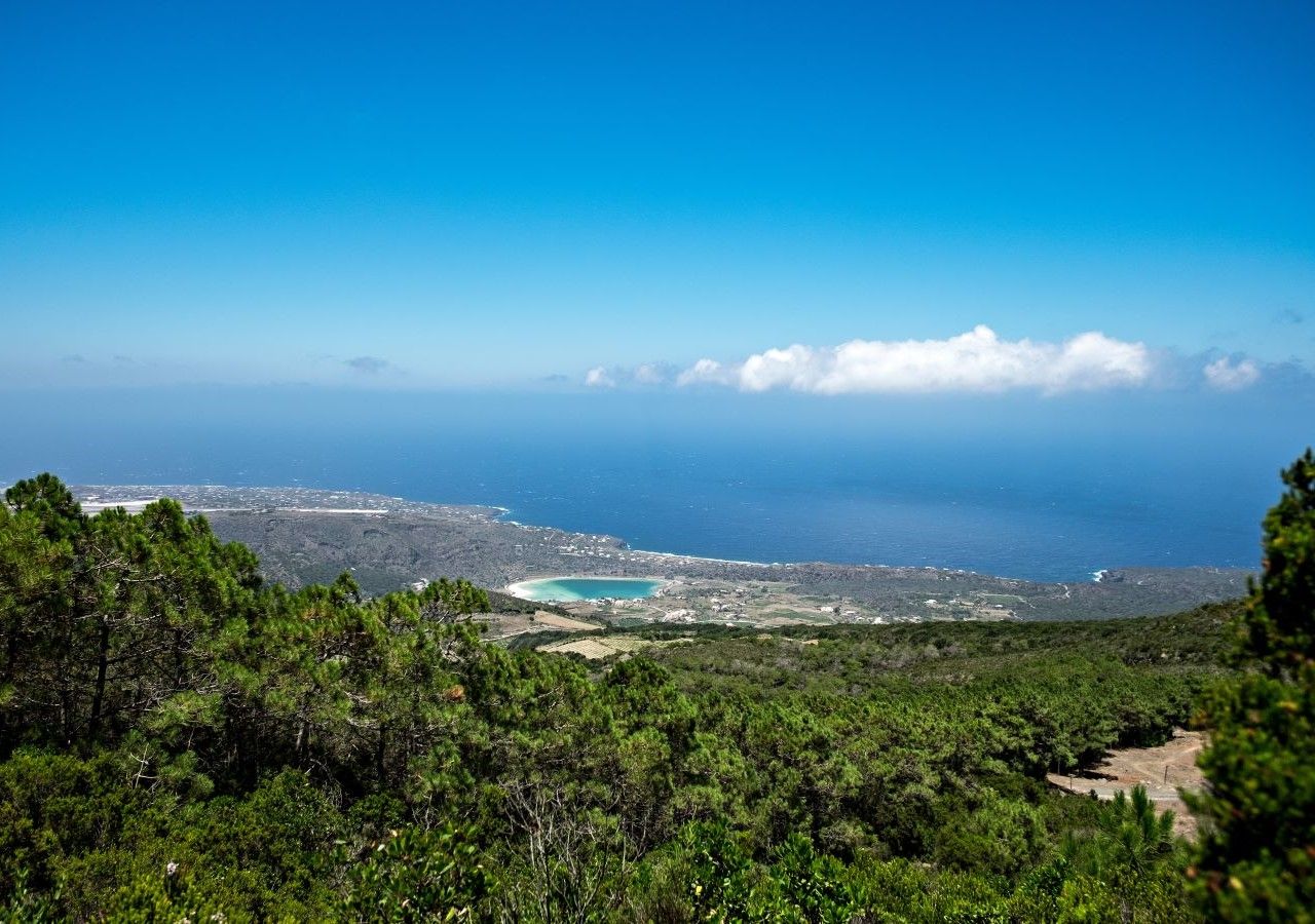 L'incredibile ricchezza di biodiversità di Pantelleria, un giardino in mezzo al mare fra Africa ...