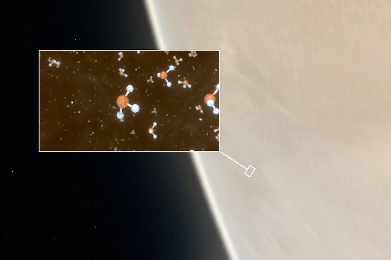 The Search for Life Turns Towards Venus: What Lies in its Clouds Has ...