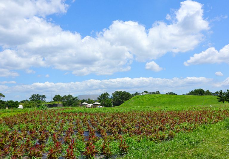 Tiempo en Danmarkshavn. Clima a 14 días - Meteored