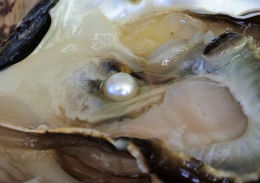 Pearl fish store