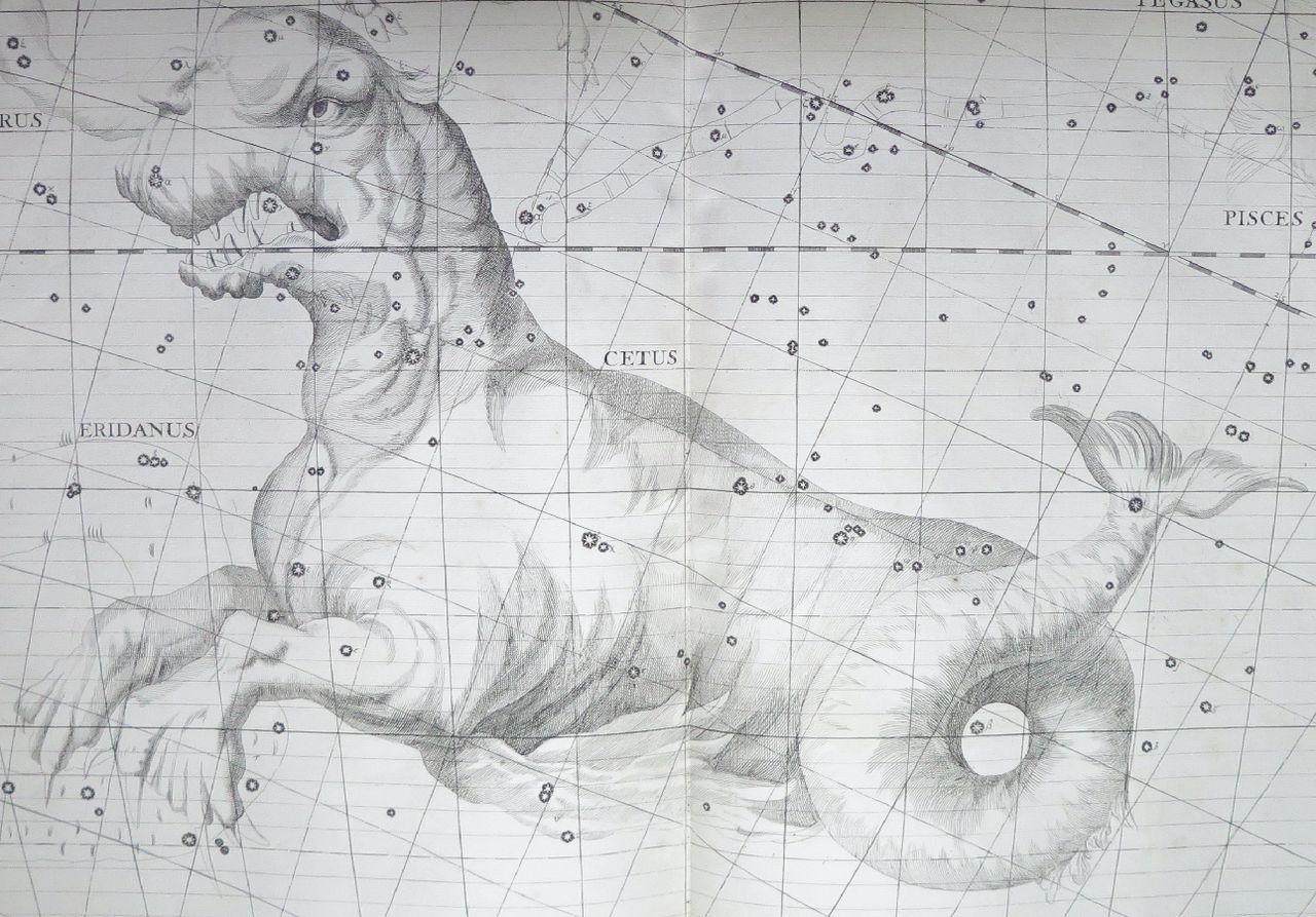 La mitología de las constelaciones: el monstruo marino Cetus