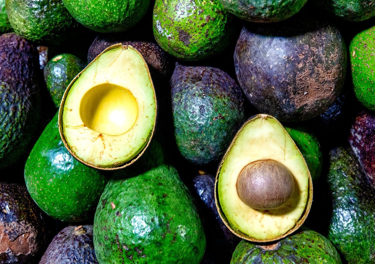 La palta, una fruta con potenciales beneficios para la salud
