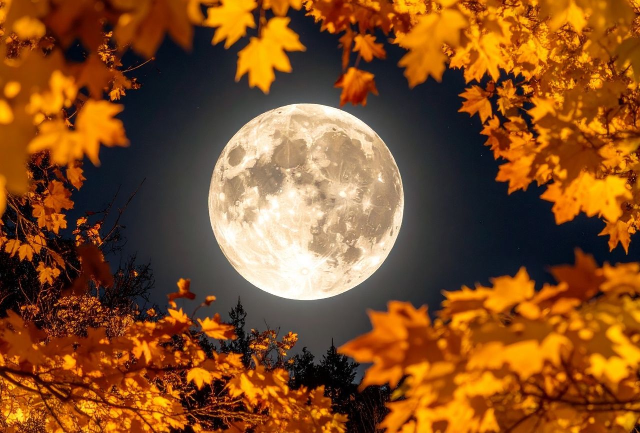 La prima Luna piena dell'autunno avrà una caratteristica particolare, ecco quando ammirarla a ...