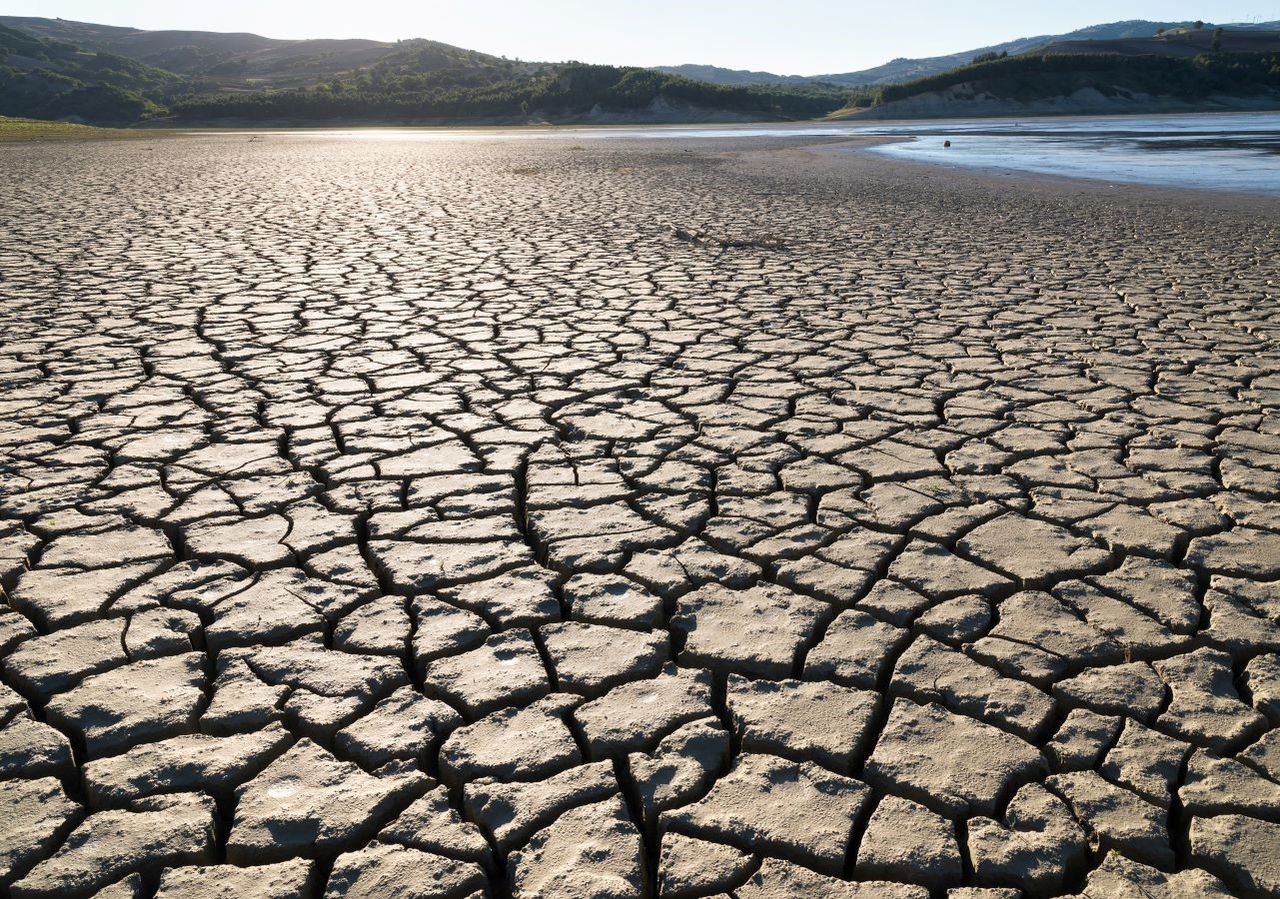 La siccità estrema in Sicilia fa una vittima eccellente: il lago di ... La siccità estrema in Sicilia fa una vittima eccellente: il lago di ...