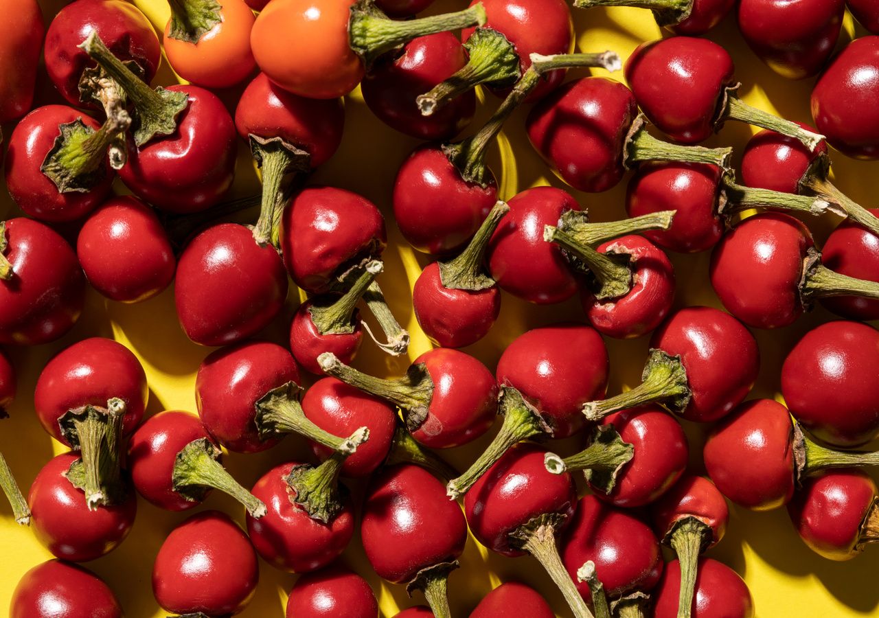 Las 3 mejores recetas con chiltepín como ingrediente principal: el ...