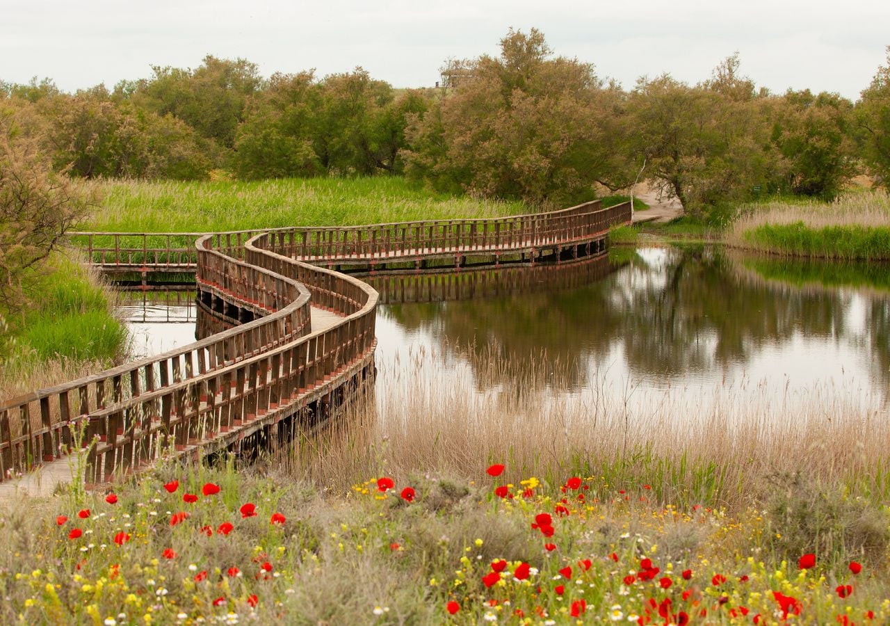 Las Tablas de Daimiel frente al verano de 2026: el desafío para salvar ...