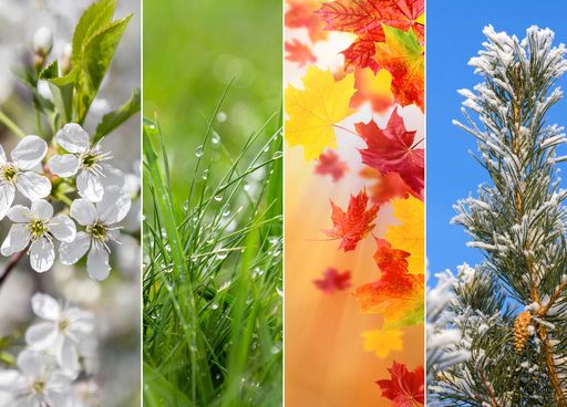 Météo : où est donc passé l'hiver