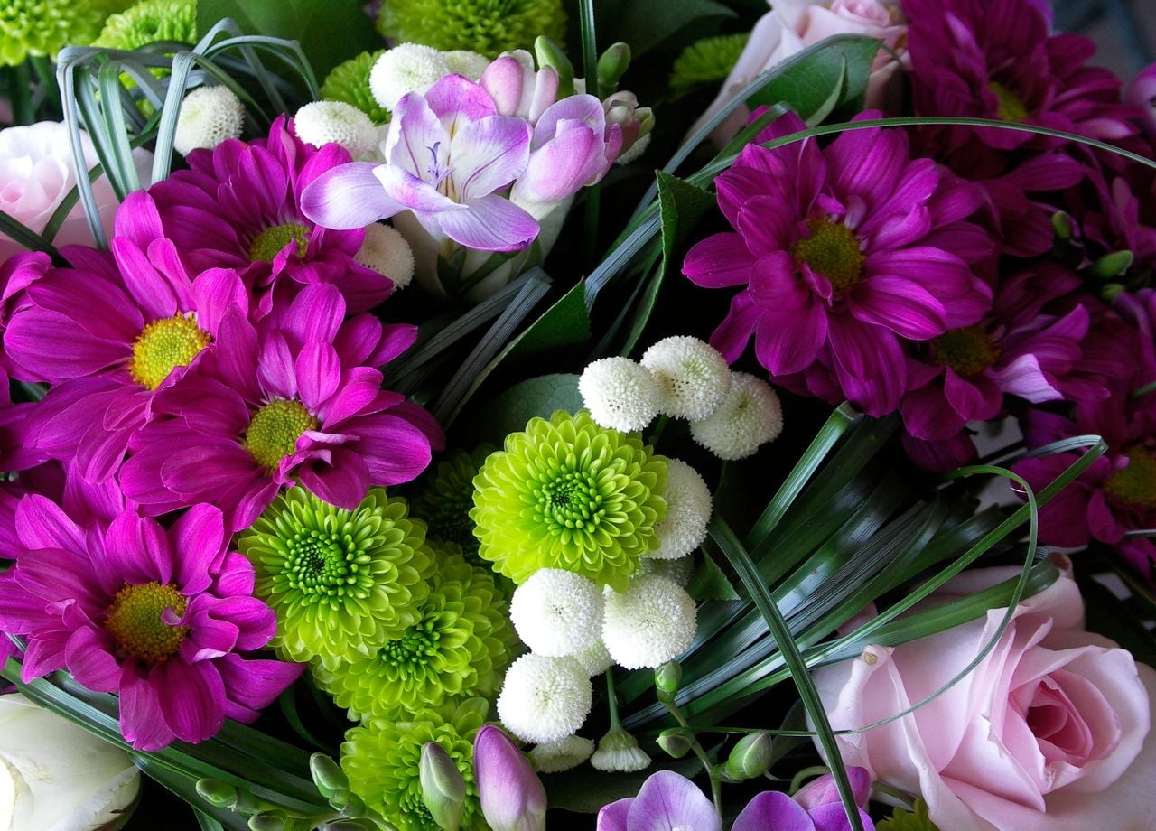 Les fleurs coupées : un réel danger pour les fleuristes ! Quels sont ...