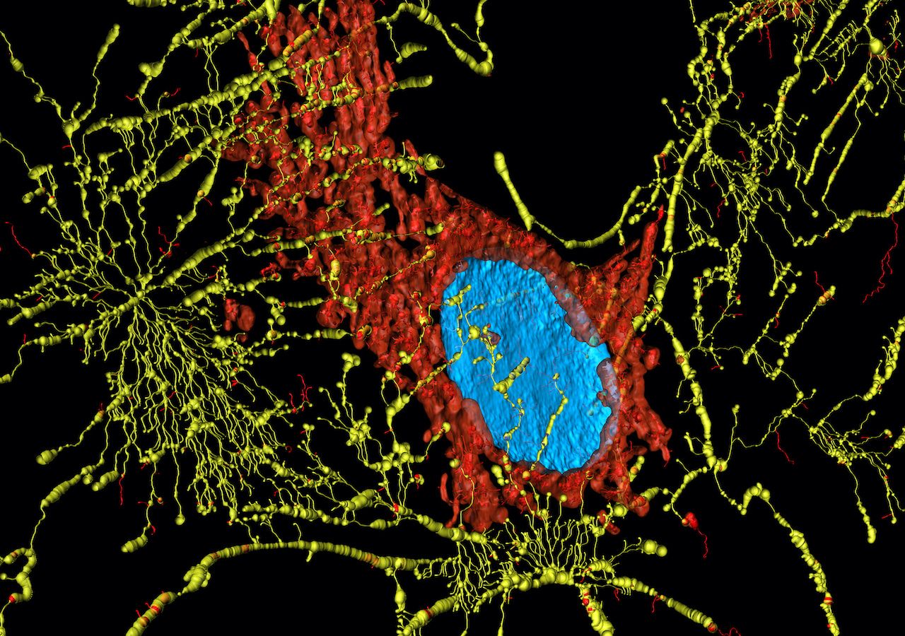 Like Sci-Fi: Researchers develop autonomous molecular robot swarm technology