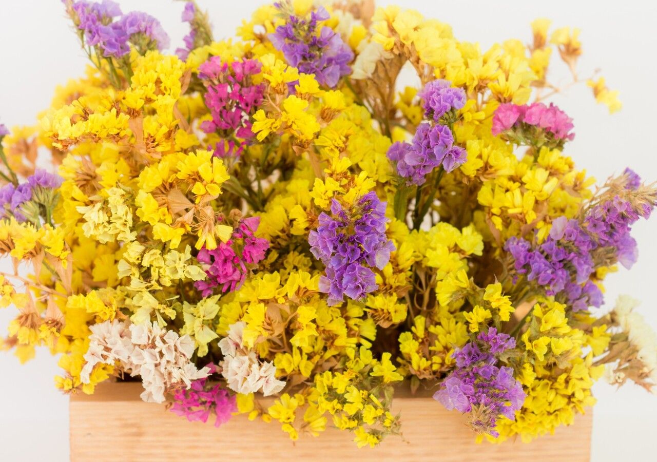 Esta flor cortada que nunca se marchita es ideal para arreglos florales ...