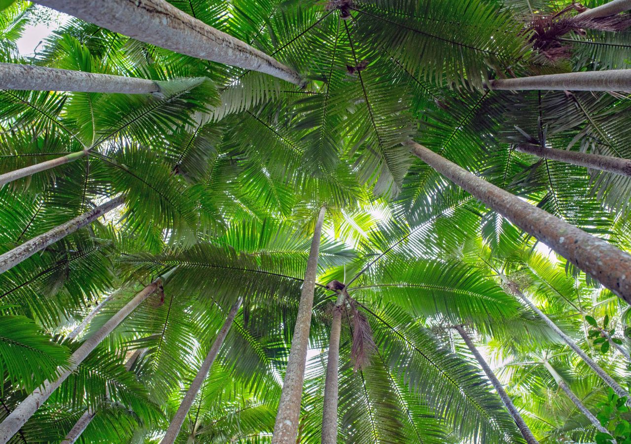 Living database offers unprecedented insight into biodiversity change