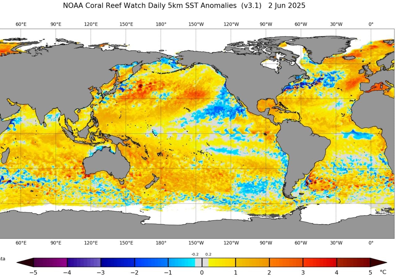 ¿Llega El Niño a Argentina? Lo que realmente dice el SMN y el ...